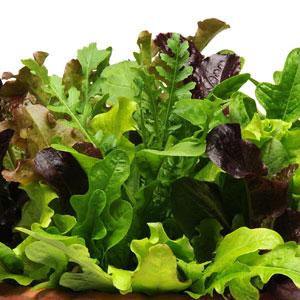 Simply Salad Alfresco Mix - Brad's Bedding Plants, Inc.